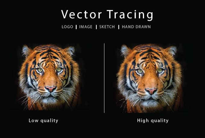 Vector tracing, redraw, convert raster logo to vector art by Ndn_nayan ...