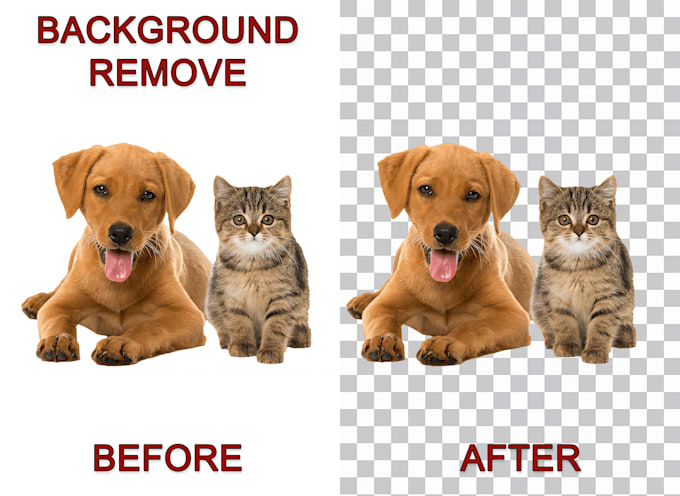 Cut out 10 complex images ultra fast and professionally by ... Cut out 10 complex images ultra fast and professionally by ...