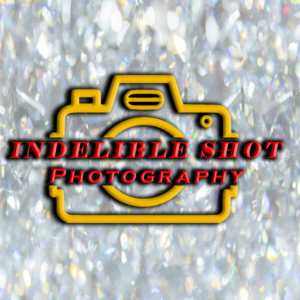 Design a world class logo for your business by Designadept1 | Fiverr