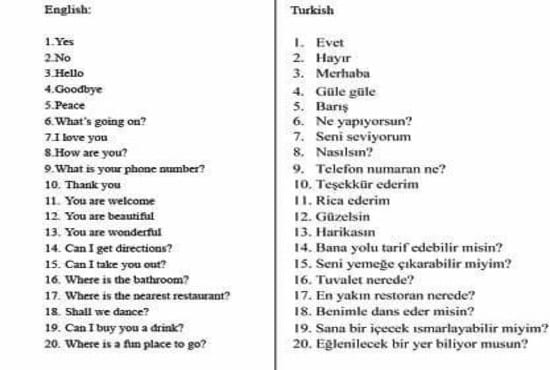 Provide basic turkish to english language vocabulary by Shaheerzaman11 ...