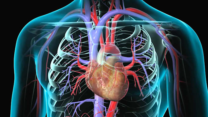 Do 2d 3d realistic dental medical animation videos by Animetracker | Fiverr