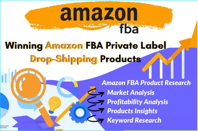 Help you with amazon fba product search and guide you to success by ...