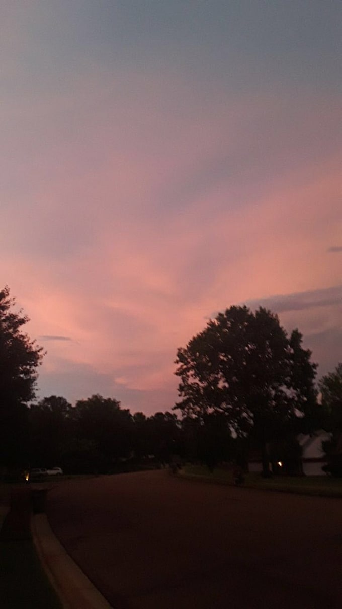 Create nature based album covers and art by Hudson_oz | Fiverr