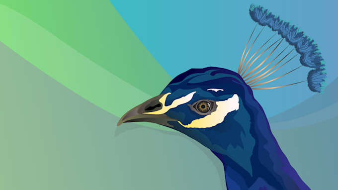 Do creative 2d illustrator drawings and designs by Kushi91 | Fiverr