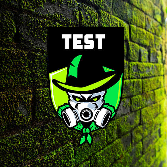 Design badass mascot for gaming and esports logo by Pxavzz | Fiverr