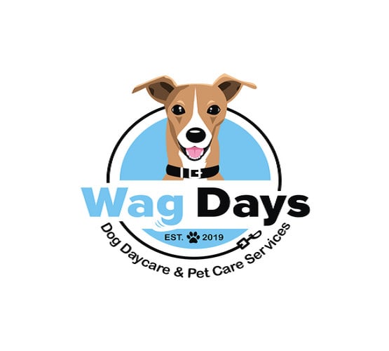 Design dog daycare logo in 24 hours by Veronicawrodger | Fiverr