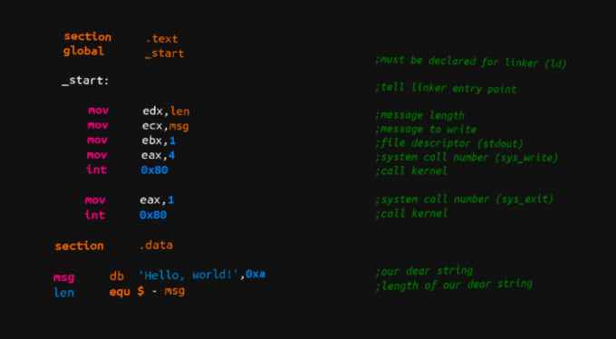 Do your turbo assembler or macro assembler console app by Andarrz | Fiverr