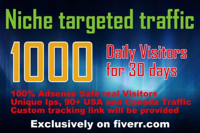 Drive 30,000 niche targeted website,traffic,visitors by Storepromo22 ...