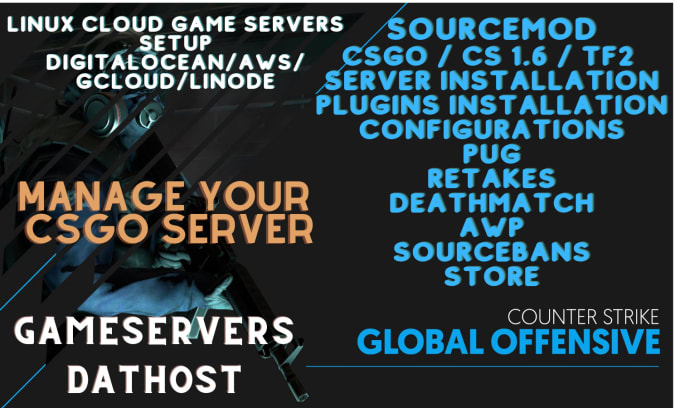 Setup or manage cs go server for you by Nextars | Fiverr
