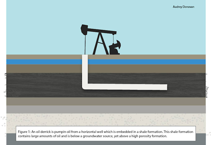 Create a simple educational animation by Audrey_donovan_ | Fiverr