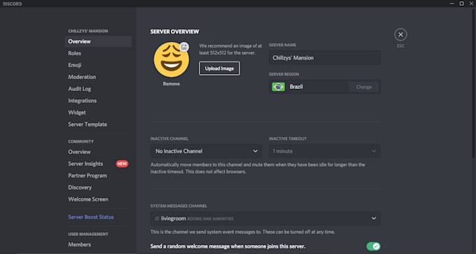 Build your discord server by Chillzys | Fiverr