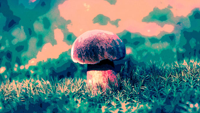 Creative comic filter as a photoshop addon and unlimited use by ...