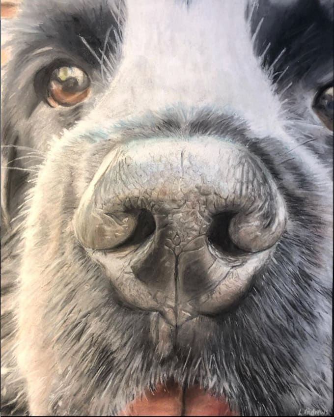 Draw a physical drawing of your pet by Lucyroseart | Fiverr