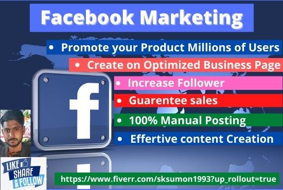 Facebook marketing and promotion for your business product by ...