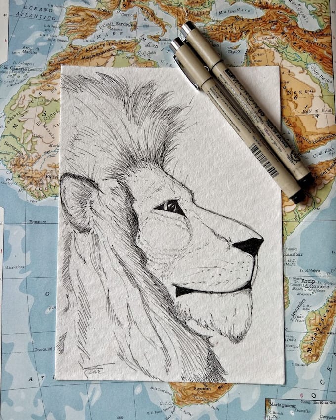 Draw your favourite animal by Ericmartellozzo | Fiverr