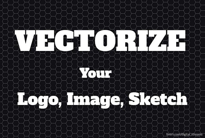 Convert raster logo,image in vector high resolution file by Digital ...