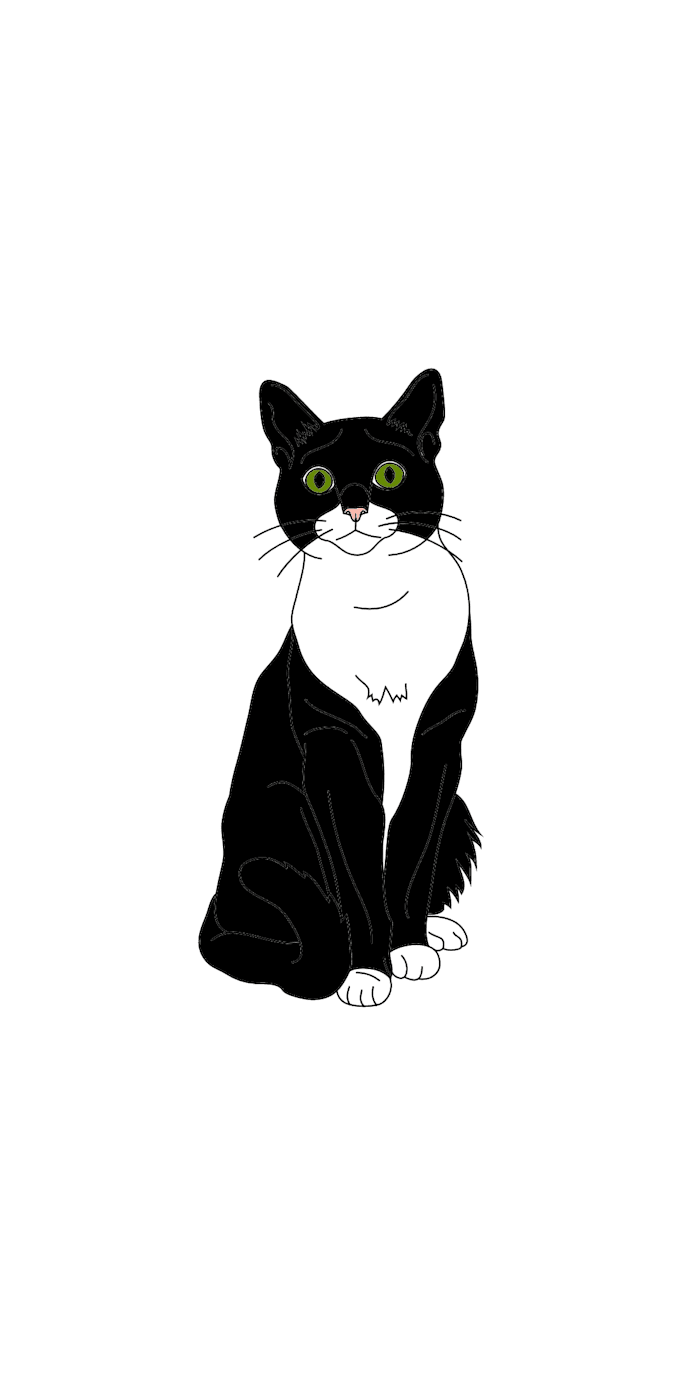 Ritratto del mio gatto