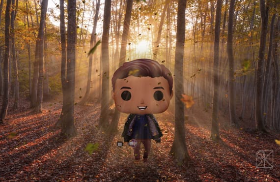 Create a customized funko pop design of you by Ohsnaapz | Fiverr