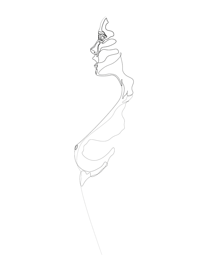 Design amazing erotic and nsfw one line art in 24 hours by Din_shalit ...