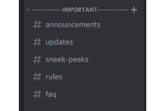 Make a professional looking discord server by Newgoldendoge | Fiverr