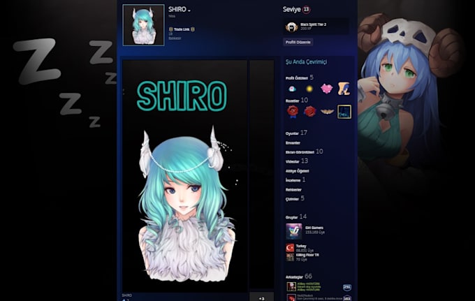 Beautify your steam profile with unique designs by Emrahoban | Fiverr