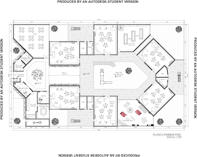Draw plans, cuts and elevations in 2d by Diana_architect | Fiverr