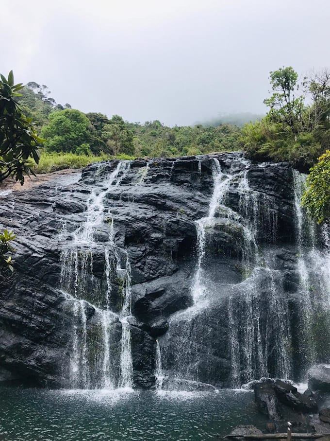 Send you a unique beautiful photography of nature by Vish_creations ...