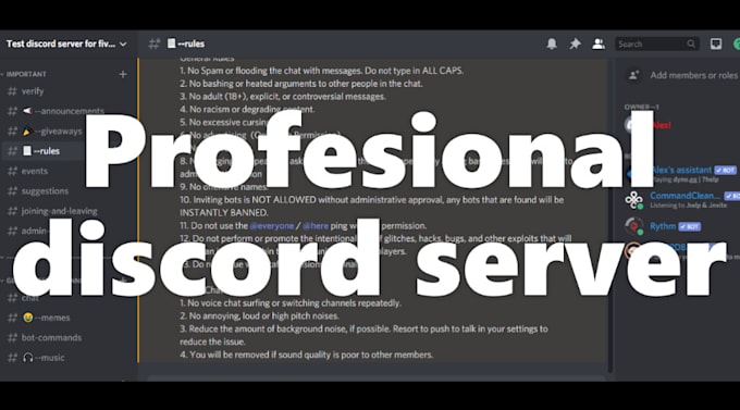 Make a professional discord server for you by Kayshallak | Fiverr