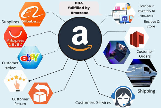 Create accurate infographics charts by Abbas7865 | Fiverr