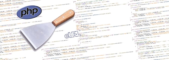Create a data scraper script from any website by Yodacode | Fiverr