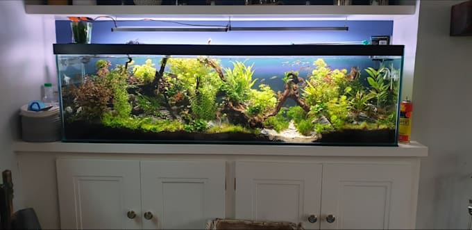 Design you a fish tank fitting to your requirements by Jmccahill23 | Fiverr