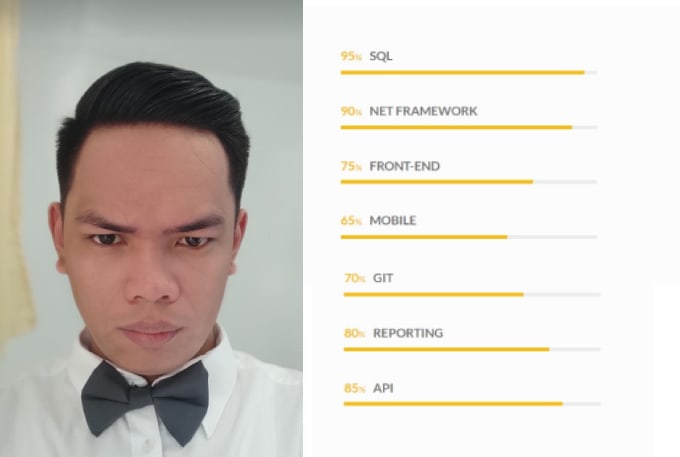 Develop An Asp Net Mvc Dot Net Core Or Web Forms Webapp By Domeniquemangul Fiverr