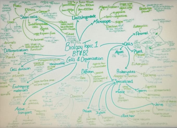 Gcse aqa science gcse mindmaps for paper 1 by Jakedowness | Fiverr