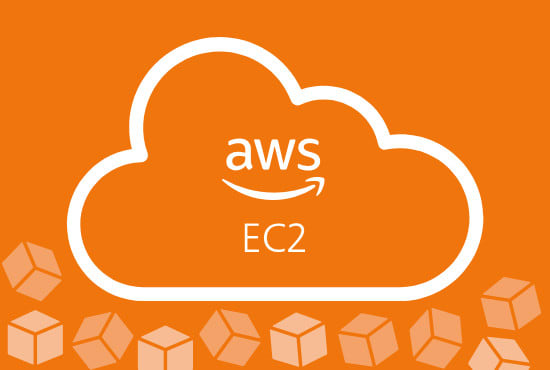 Setup aws ec2 server with lamp and ssl certificate by Kikaninilesh | Fiverr