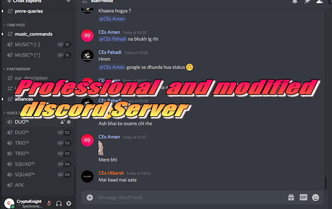 Make a professional and modified discord server for you by Cryptoknight ...