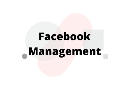 Manage your facebook account by Rigersa_merdini | Fiverr