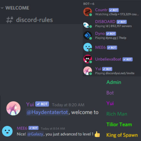 Make you a sleek discord server in under 48 hours by Gameroutine | Fiverr