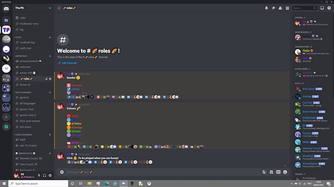 Make you a professional discord server by D3monalex | Fiverr