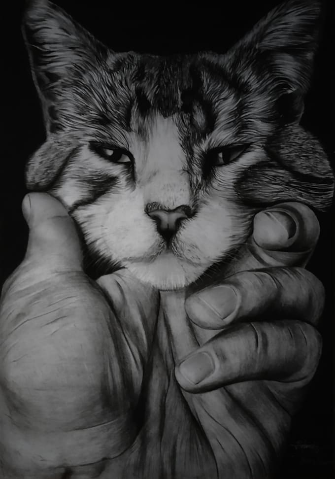 Draw your realistic and detailed pencil drawing portrait by Het_ansh ...