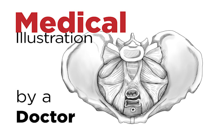 Create a medical illustration in grayscale style by H26subtitles | Fiverr