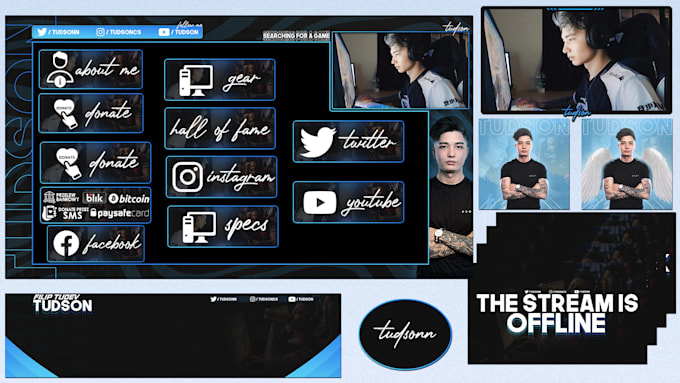 Design professional twitch overlay for your stream by Oliwergfx | Fiverr