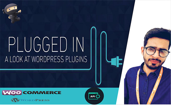 Integrate third party apis in wordpress plugin by Speedyseo2020 | Fiverr