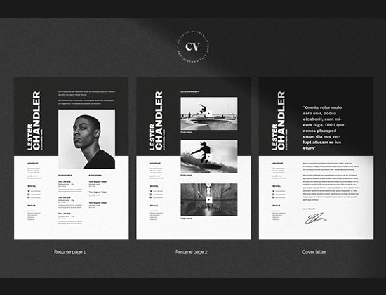 Design an interactive cv resume design or portfolio on pdf by ...