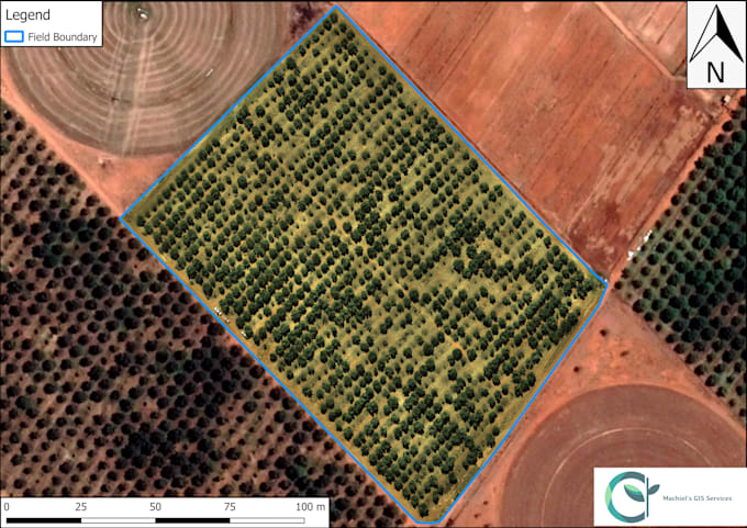 Transform your raw data into functional gis maps by Machielmarais | Fiverr