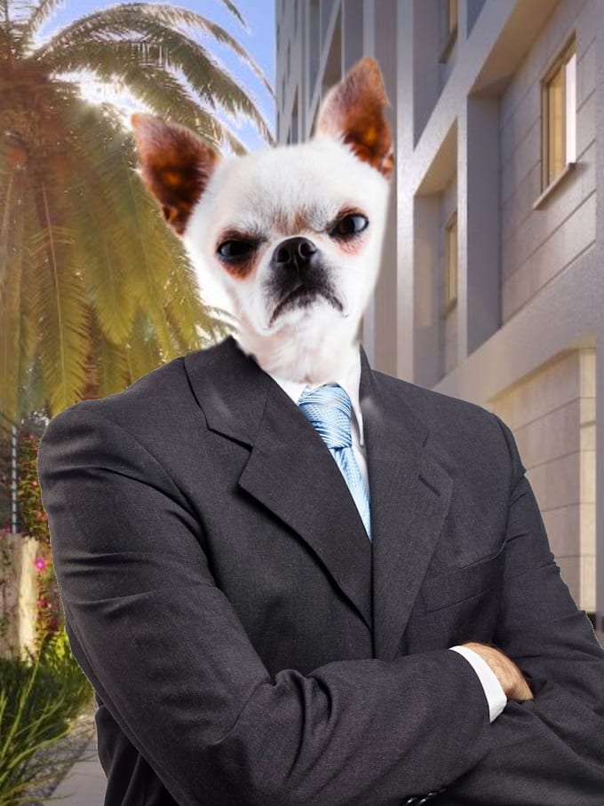 Make a funny edit to your photo by Jonthan_nir | Fiverr