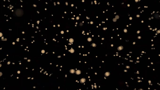 Make a cool particle effect intro of your icon by Timey0 | Fiverr