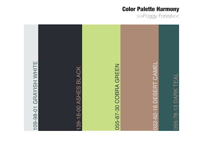 Create a color palette in coloro for you by Snoocy | Fiverr