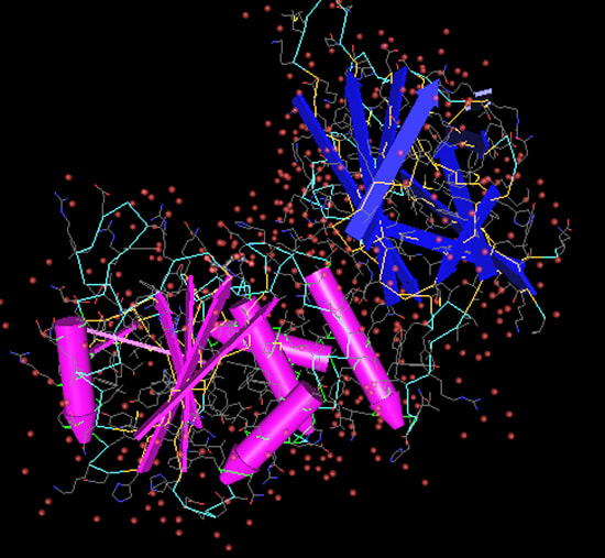 Create a 3d protein model of your protein or nucleotide sequence by ...
