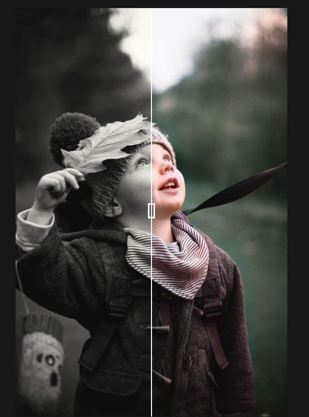 Return the black and white image to a normal color image by ...