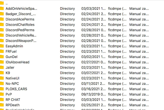 Create a fivem custom server with premium scripts by Progamer171 | Fiverr
